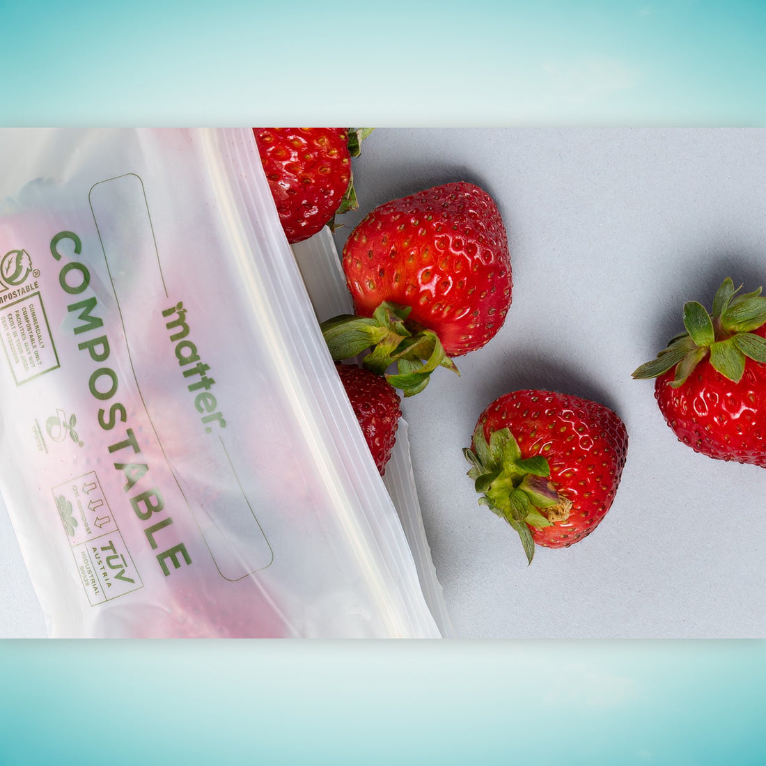 Matter Compostable Snack Bags - 50 Count – Shop Matter Products