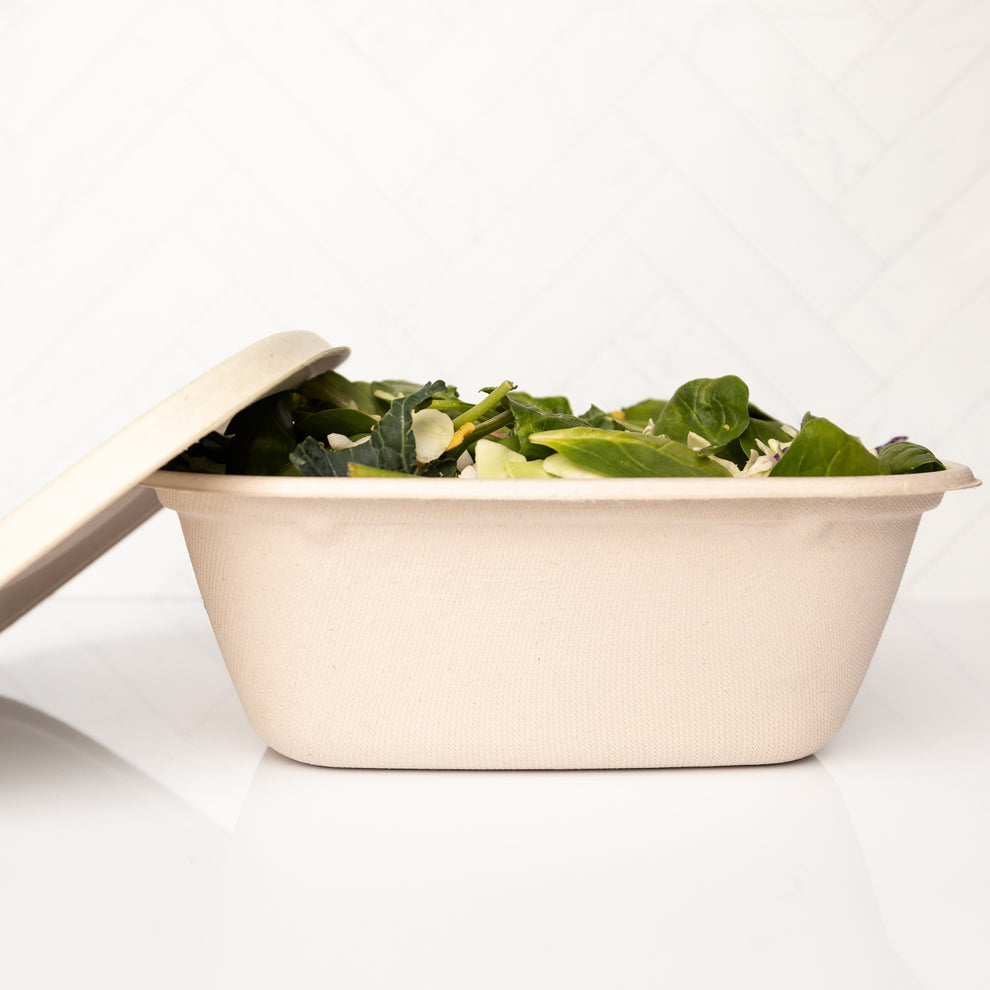 Matter Compostable Food Storage 37oz Containers with Lids - 5 Count ...